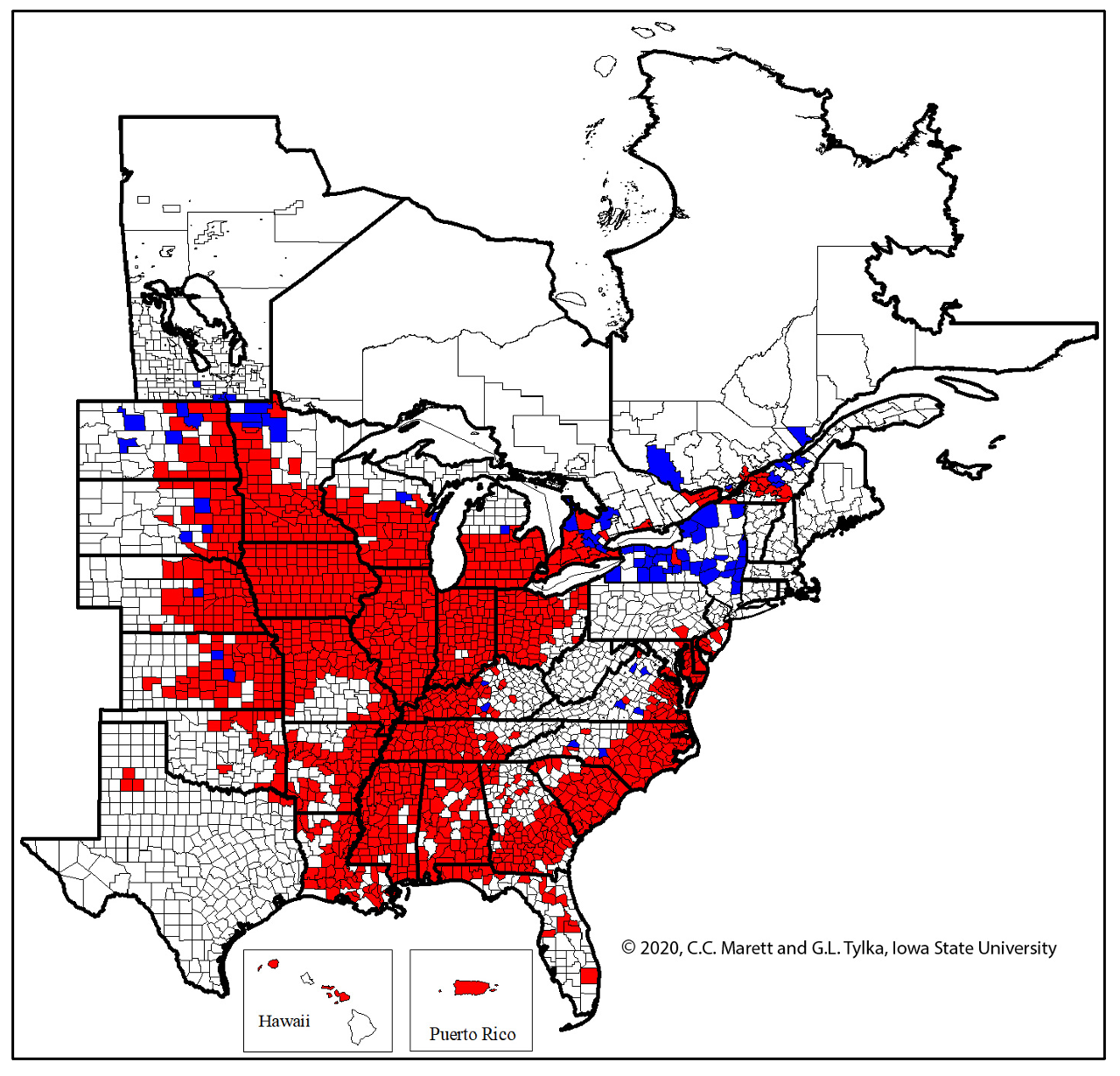 Don't miss soybean cyst nematode webinar in October - Michigan Farm News