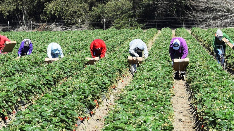 Agriculture Employment Compliance Guide eligible for reimbursement ...