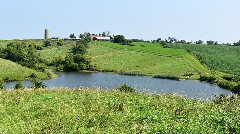 MDARD launches Farm-to-Family grant program - Michigan Farm News