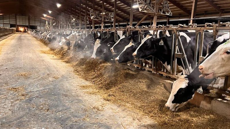 Biosecurity recommendations for dairy and beef cattle operations ...