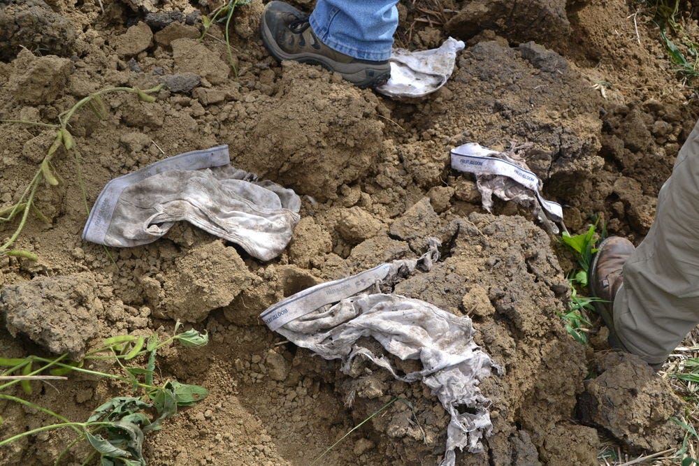 Crop farmers – Is it time to Soil your Undies? - Michigan Farm News