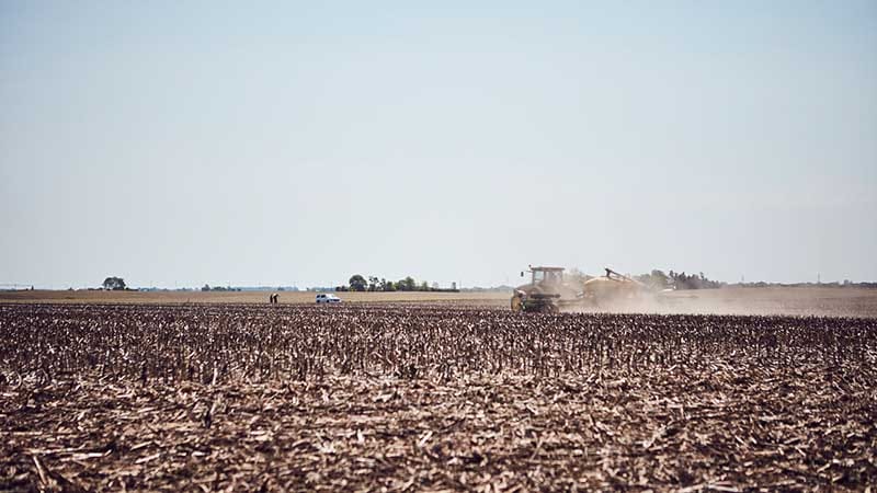 Soybean planting depth considerations when planting into dry soil ...