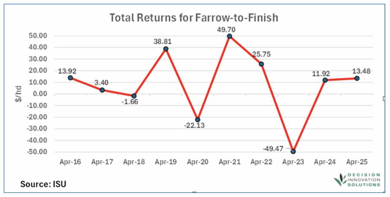 Hog returns remain positive for now — fourth quarter losses predicted ...