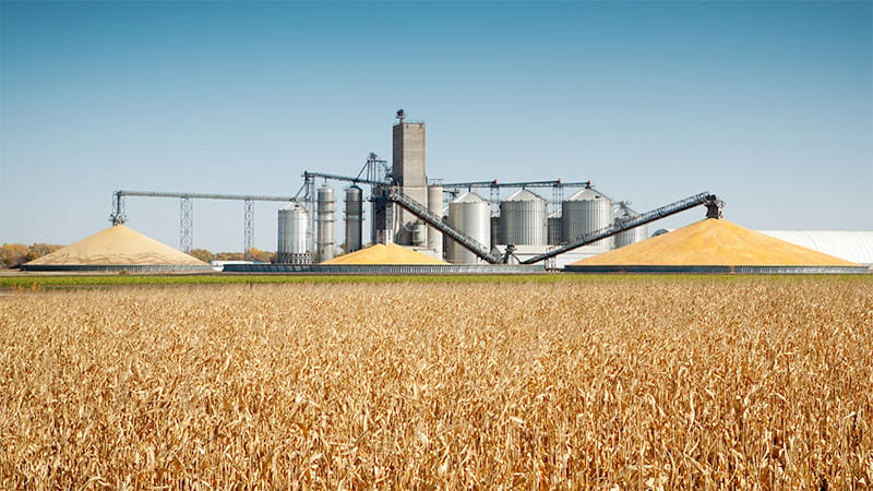 Thousands of farmers tell Biden not to overlook biofuels in climate ...