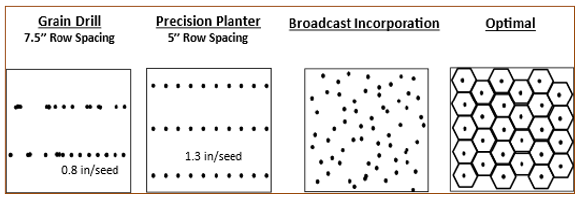 wheat planting methods