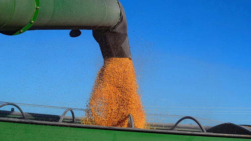Record corn, soybean yields projected by USDA - Michigan Farm News