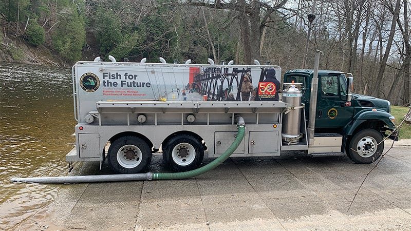 More than 9.1M fish stocked in 2024 so far - Michigan Farm News