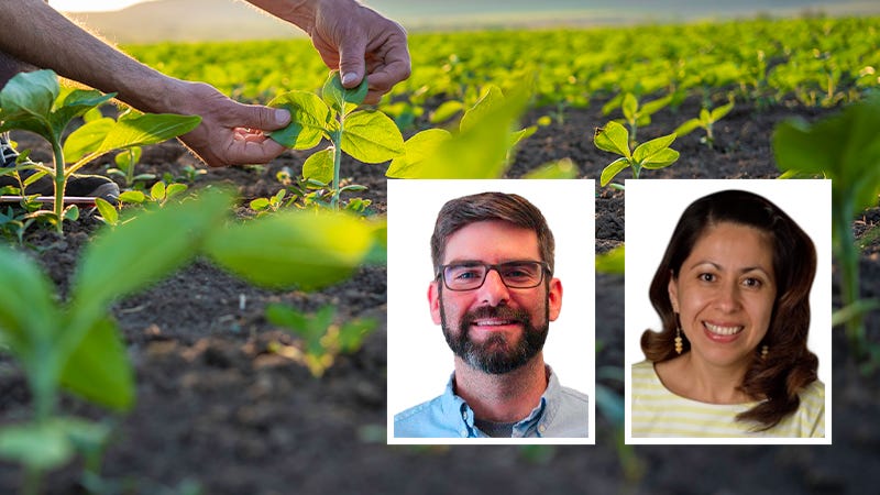 New MSU research projects supported by sustainable agriculture funds ...