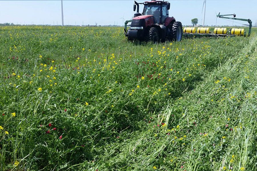 Crop insurance premium discount available on cover crop acres ...