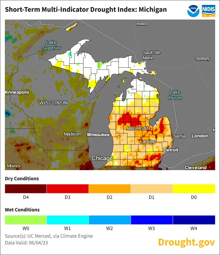 Dry spell during critical grain-fill period could cause ‘dramatic ...