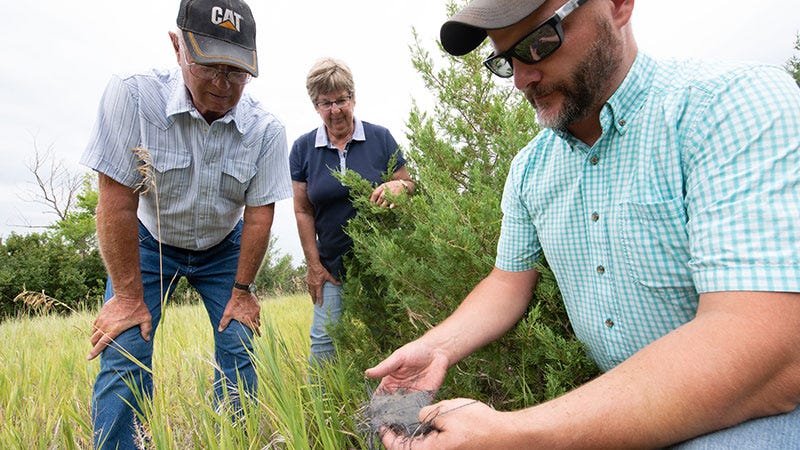 USDA announces conservation funding opportunities for FY 2022 ...