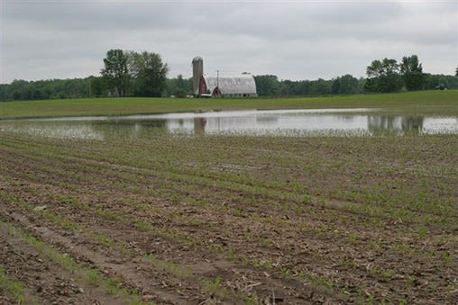 18 Michigan counties named Primary Natural Disaster Areas - Michigan ...