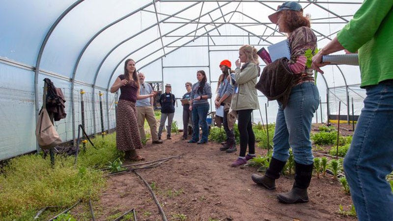USDA grant will engage Michigan farmers to create trainings for ...