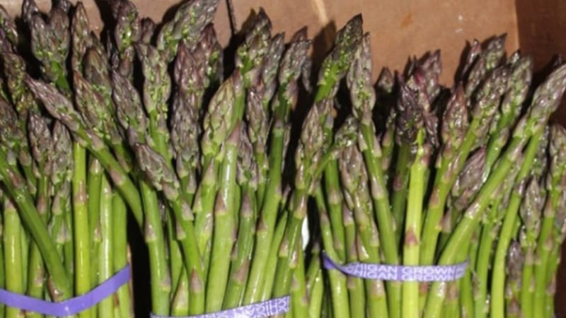Asparagus growers target online sales - Michigan Farm News