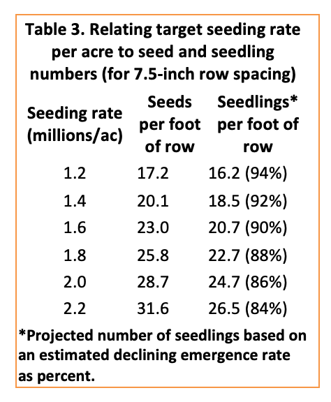 spring wheat seeding rate
