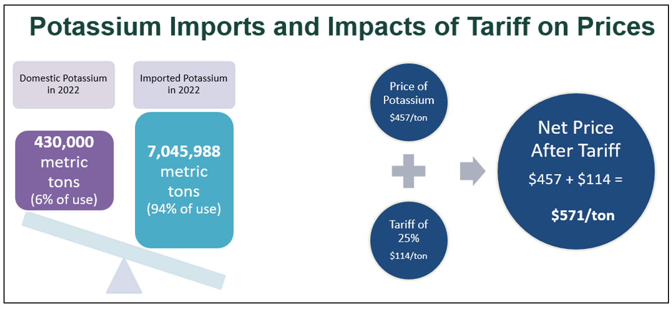 How could potential tariffs impact input purchasing decisions ...