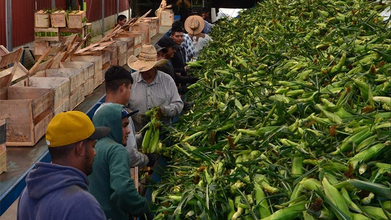 Fill out USDA's ag labor survey before April 20 - Michigan Farm News