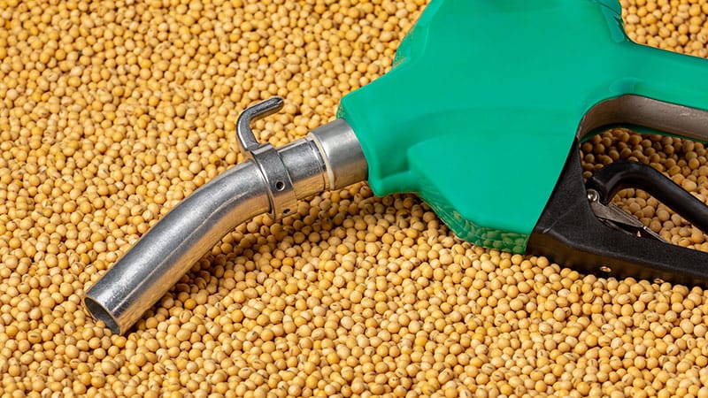 How much will renewable diesel boost soybean prices? Ag barometer ...