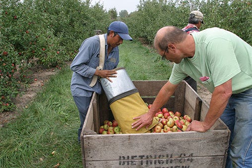 What are your plans for labor? - Michigan Farm News
