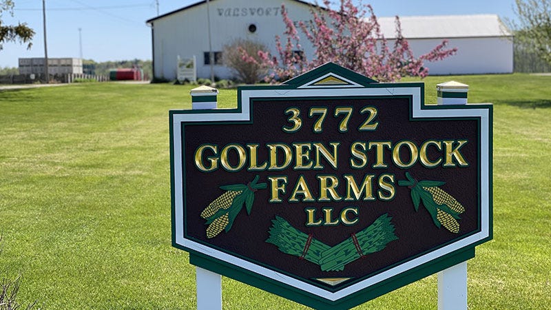 A Day in the Life: Golden Stock Farms - Michigan Farm News