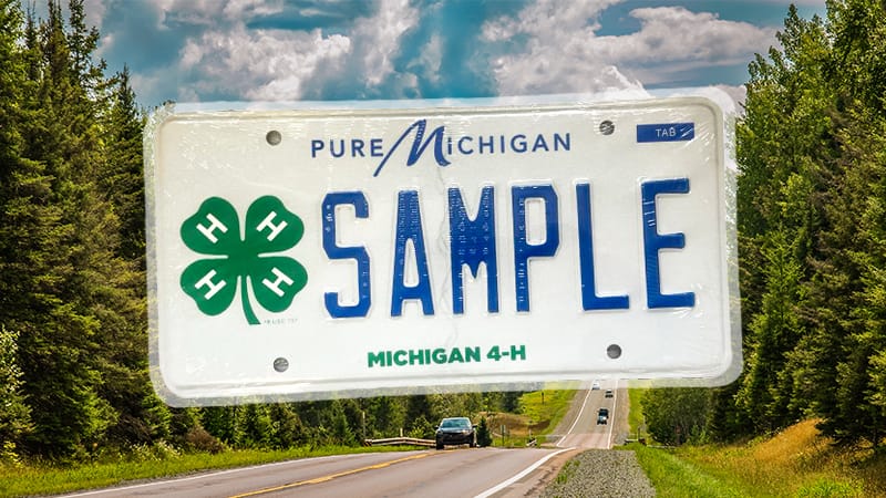 Michigan 4-H license plate now available to drivers - Michigan Farm News
