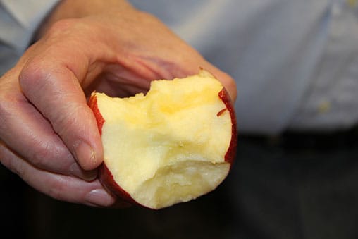 Listen to scientists, not fear mongers, on New GM apples - Michigan ...
