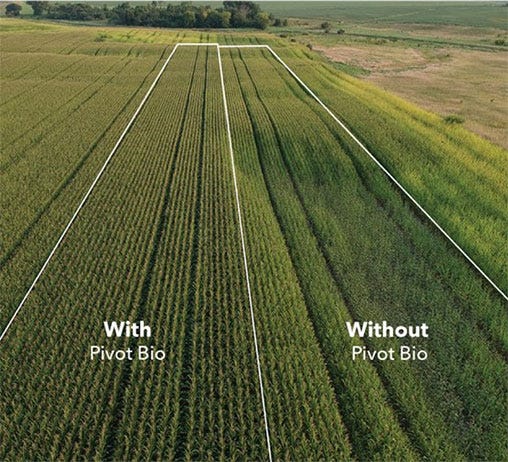 Pivot Bio to roll out microbe-based alternative to synthetic Nitrogen ...