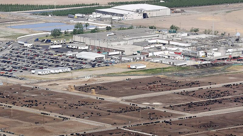 CFTC fines CHS Hedging $6.5M in Easterday Ranches-related cattle fraud ...