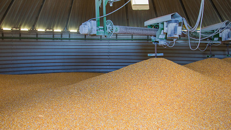 USDA predicts record corn acres, yield and heavy carryover - Michigan ...