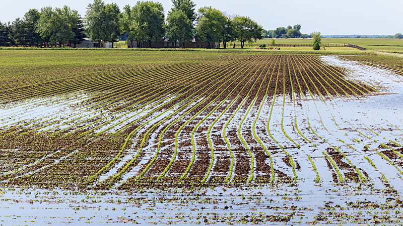 Odds of an early spring increasing – above-normal precipitation ...