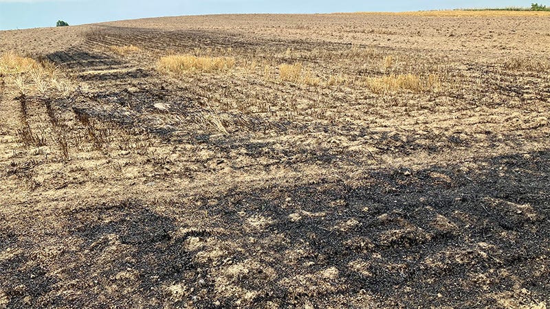 Home Page - Michigan Farm News