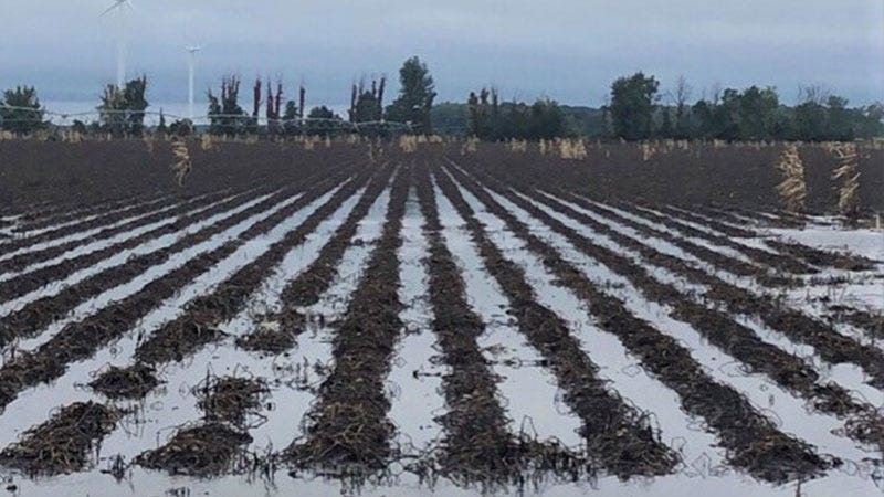 Harvest stops, the rain hasn’t: ‘It’s ugly out there’ - Michigan Farm News