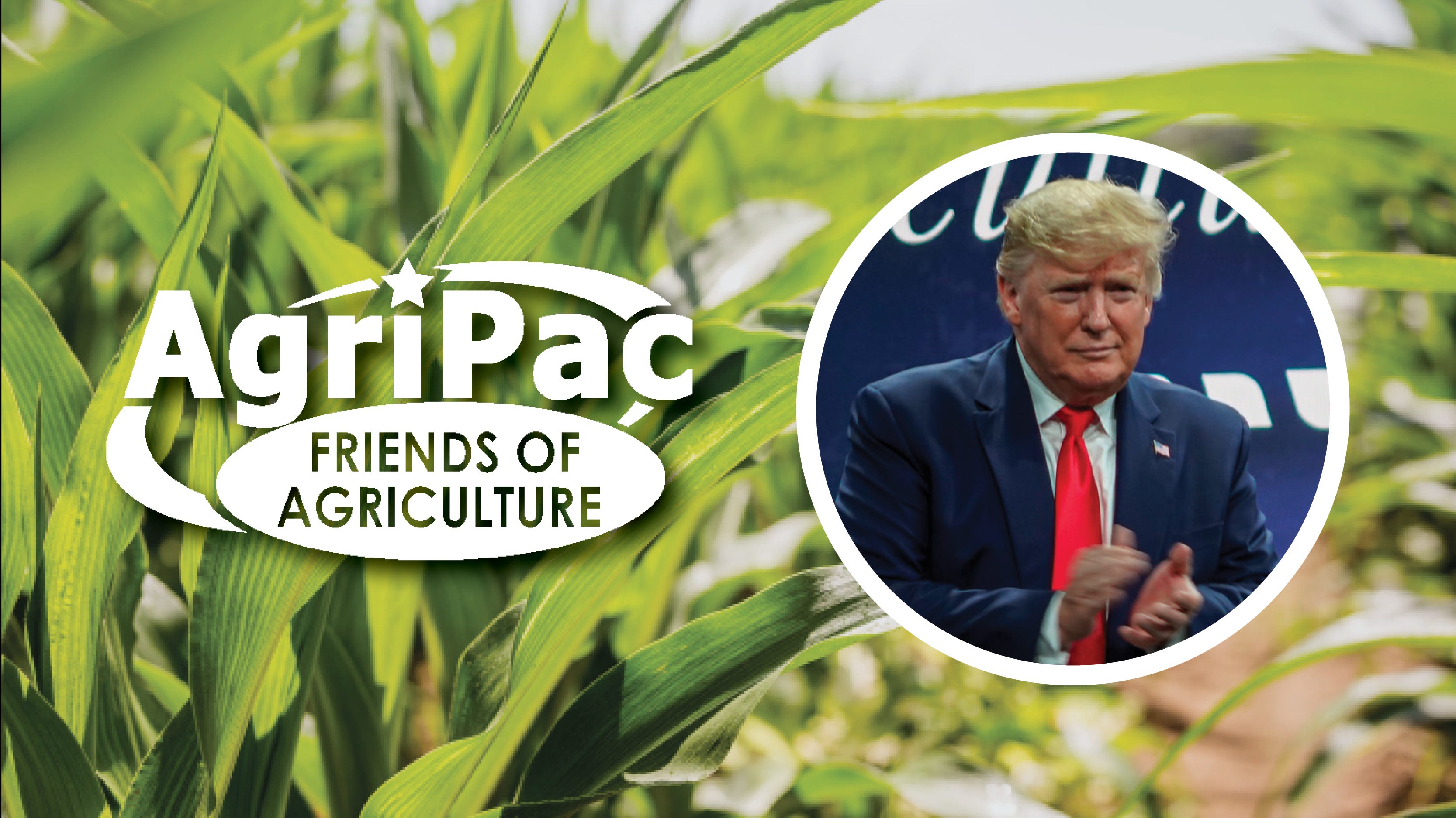 President Trump’s stance on agriculture, rural America issues earns ...