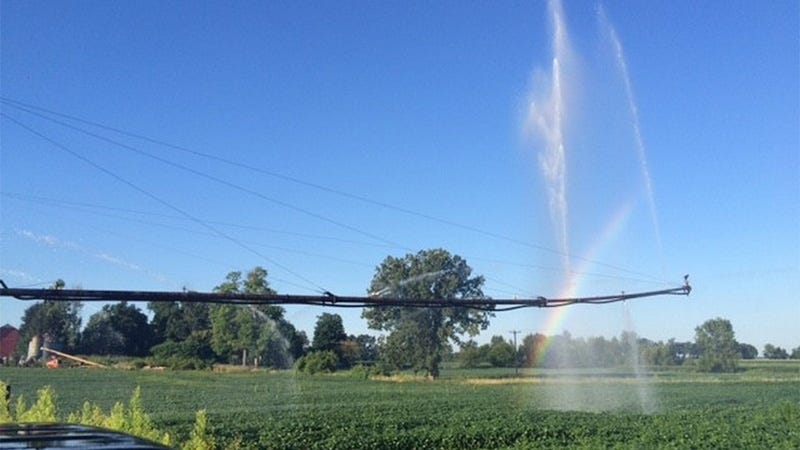 MAEAP Summer Farm Field Day coming to Southeast Michigan - Michigan ...