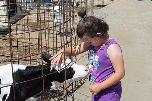 Family Fun at the Farm attracts crowd of 2,500 - Michigan Farm News