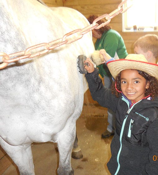Stall doors open when kids read to horses - Michigan Farm News