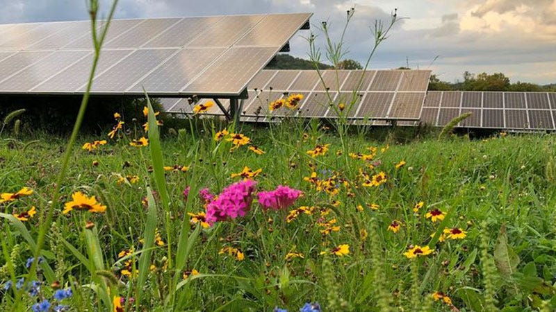 MSU releases solar system planning and zoning guide - Michigan Farm News