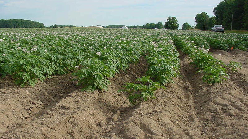 USDA announces $2.2M in Specialty Crop Block Grant Program funds for ...