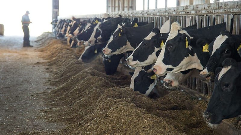 De-pooling and record-large negative PPDs continue hitting milk checks ...