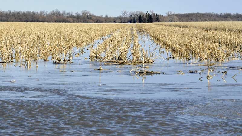 Above-normal precipitation predicted leading into spring - Michigan ...