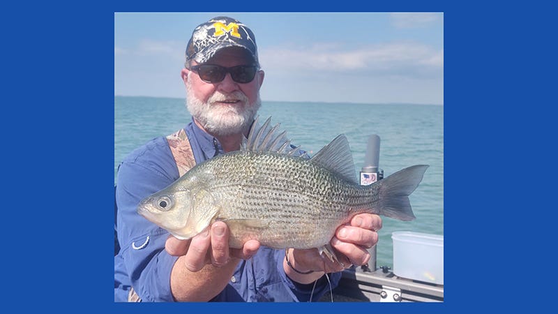 World champ reels in state-record white perch - Michigan Farm News