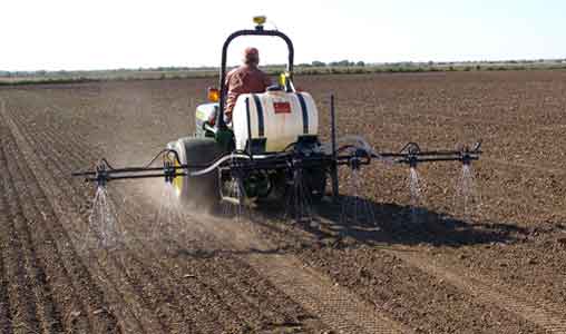 Timing nitrogen applications can enhance yields - Michigan Farm News