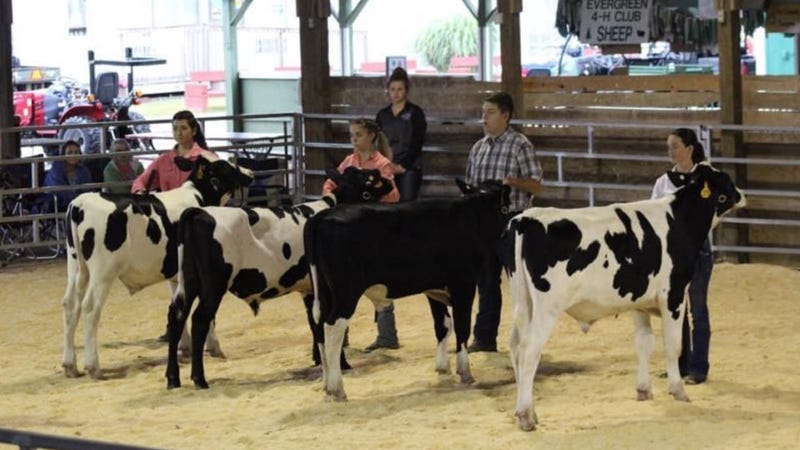 MAFE announces 2024 scholarship program, application window open until ...