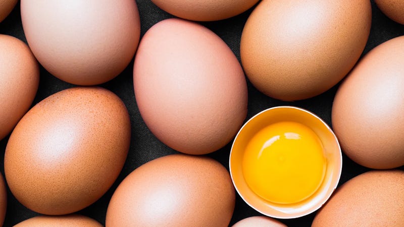 Study: Poultry, egg industry adds $8.5B to Michigan economy, supports ...