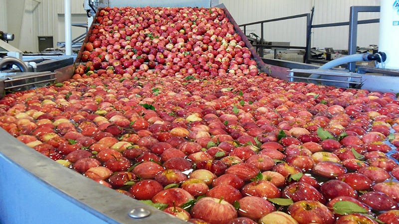 EGLE’s permitting plans could put local food access in limbo - Michigan ...