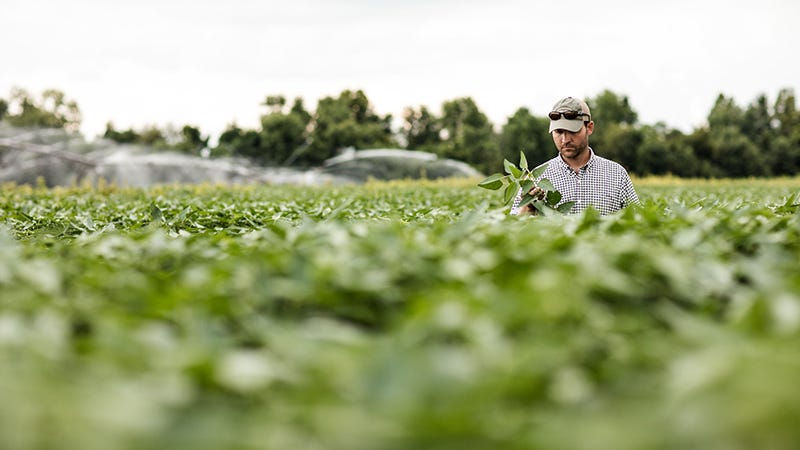 Federal Reserve observations on the ag economy: Drought, profitability ...