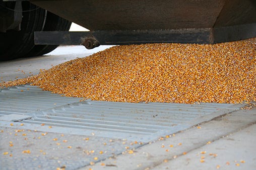 Michigan corn producers reject assessment increase - Michigan Farm News