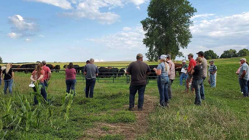 Mitchell Cat Creek Farms takes pride in MAEAP programming - Michigan ...