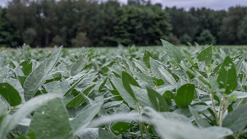 USDA to study crop production practices with 900 MI growers - Michigan ...