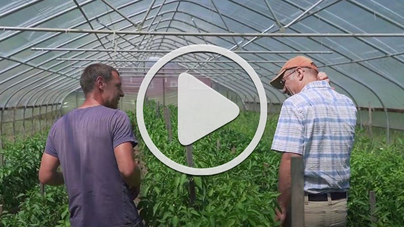 MSU horticulture professor and 'incredible researcher' receives Master ...